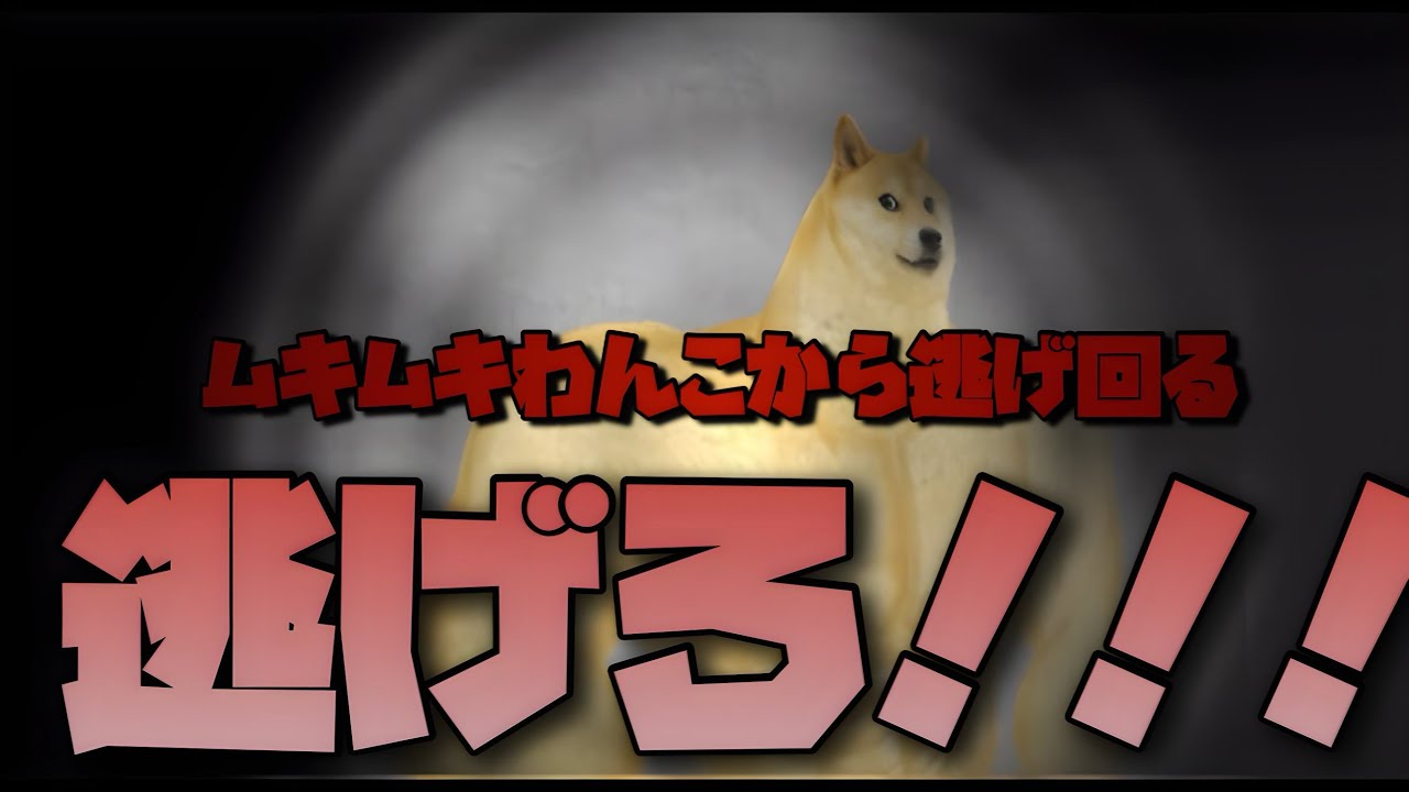 【ネットミーム】初投稿からモザイクだらけwムキムキわんこから逃げ回れ！！！！「BUFF DOGE」 - YouTube
