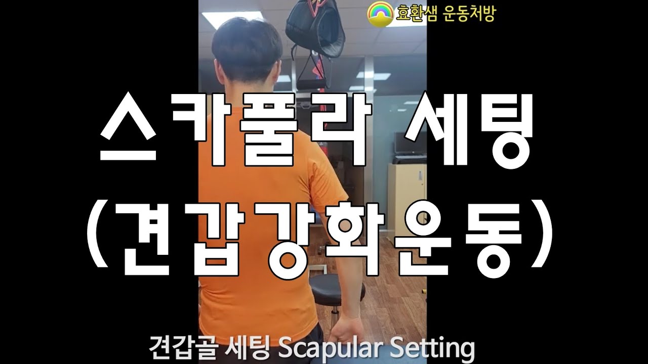 어깨 견갑강화 운동, 스카풀라 세팅_ Scapular Setting - YouTube