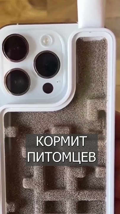 Чехол для айфона с МУРАВЬЯМИ внутри Youtube