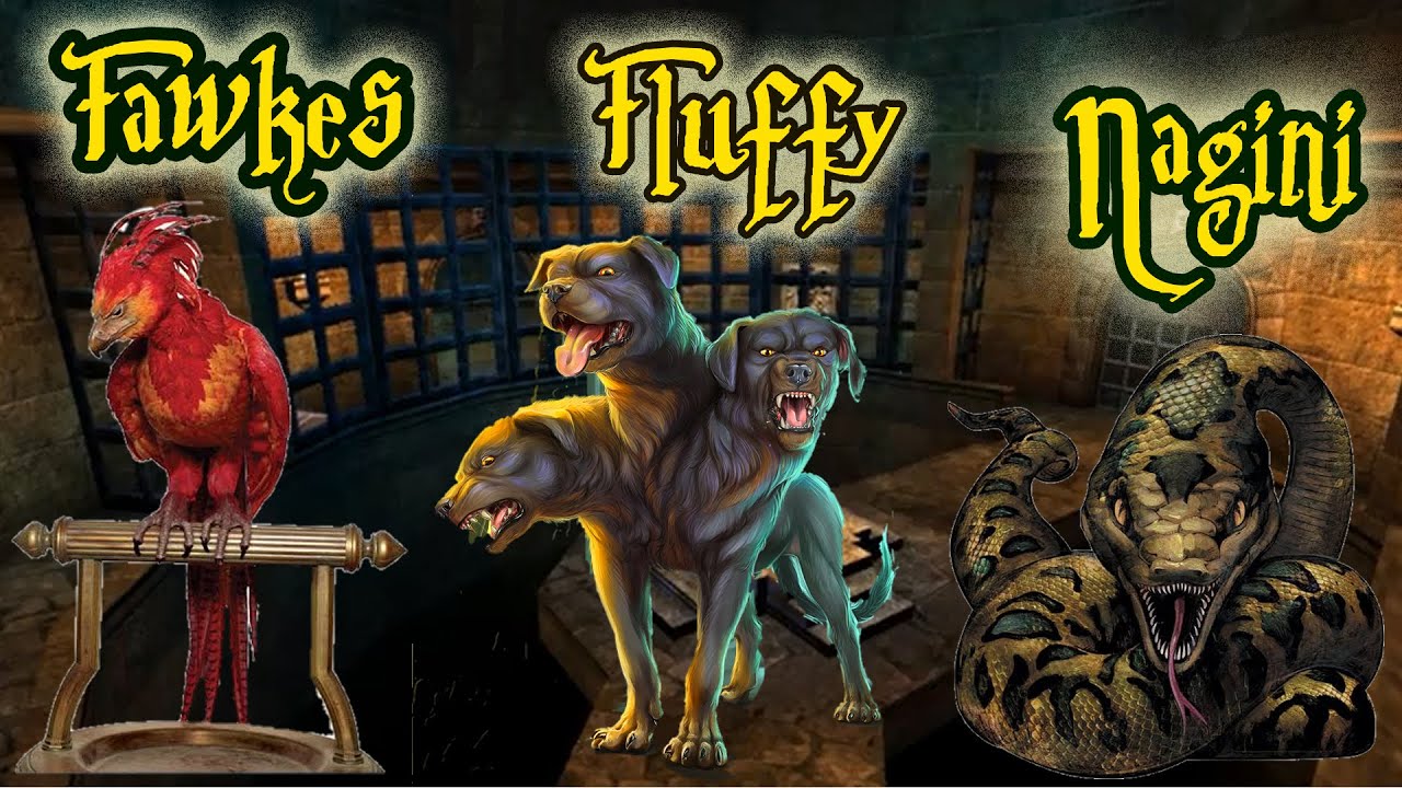 7 Most Helpful Magical Pets From Harry Potter - YouTube