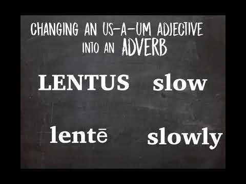 Latin Positive 2-1-2 Adverbs - YouTube
