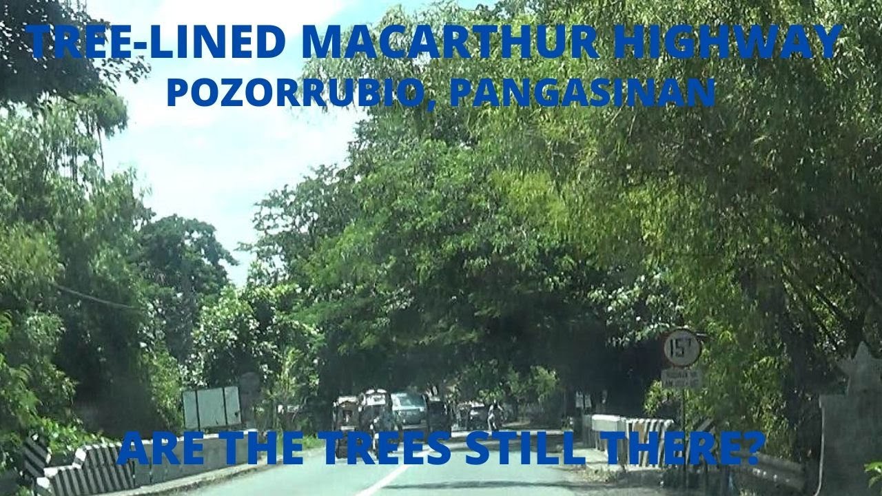 TREE-LINED MACARTHUR HIGHWAY_POZORRUBIO, PANGASINAN_ARE THE TREES STILL ...