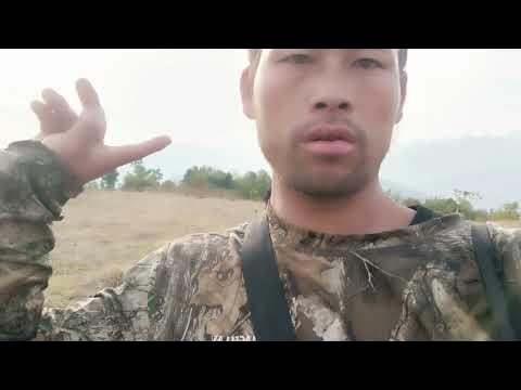 Wb ib niam txiv mus nrhiav nyuj - YouTube