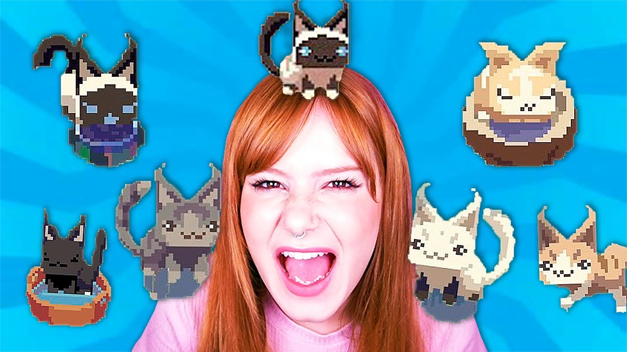 CONHEÇAM MEUS NOVOS GATOS - kattespill - YouTube