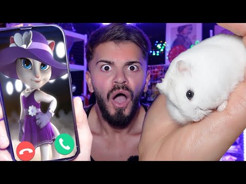 ANGELA HAMSTERİMLE KONUŞTU!! İNANILMAZ?! (My Talking Tom & Friends) | BELGO
