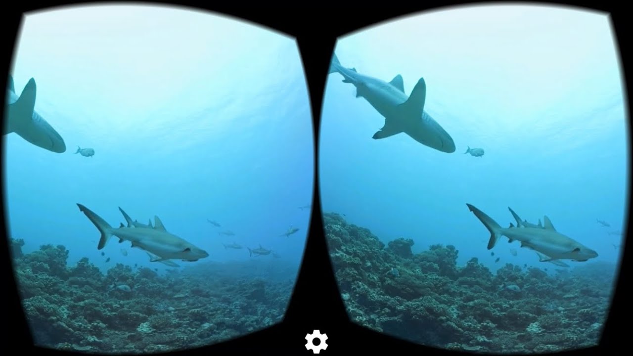 700 Sharks VR 360 video! 3D the mystery of fakarava - YouTube