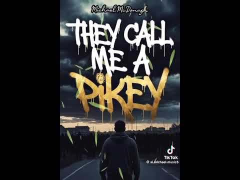 They call me a pikey by micheal mcdoangh #idontowncopyrightstothemusic #fyp #viral #irishtravellers 