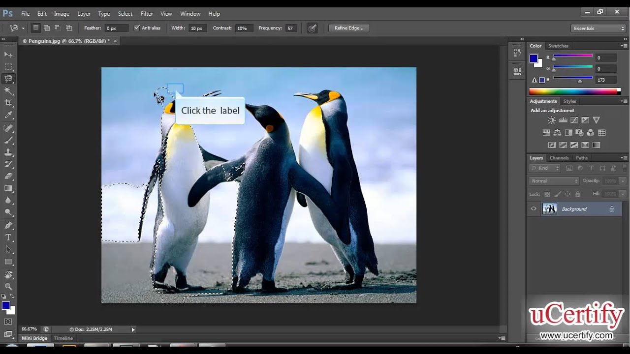 adobe photoshop- how to work with quick selection tool magic wand tool ...