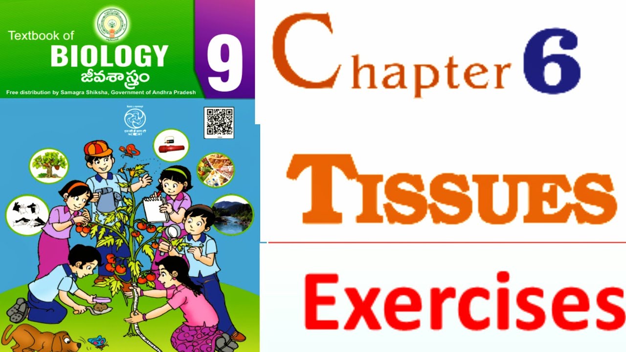 9th BIOLOGY ll TISSUES ll EXERCISES ll NCERT SOLUTIONS II All questions ...