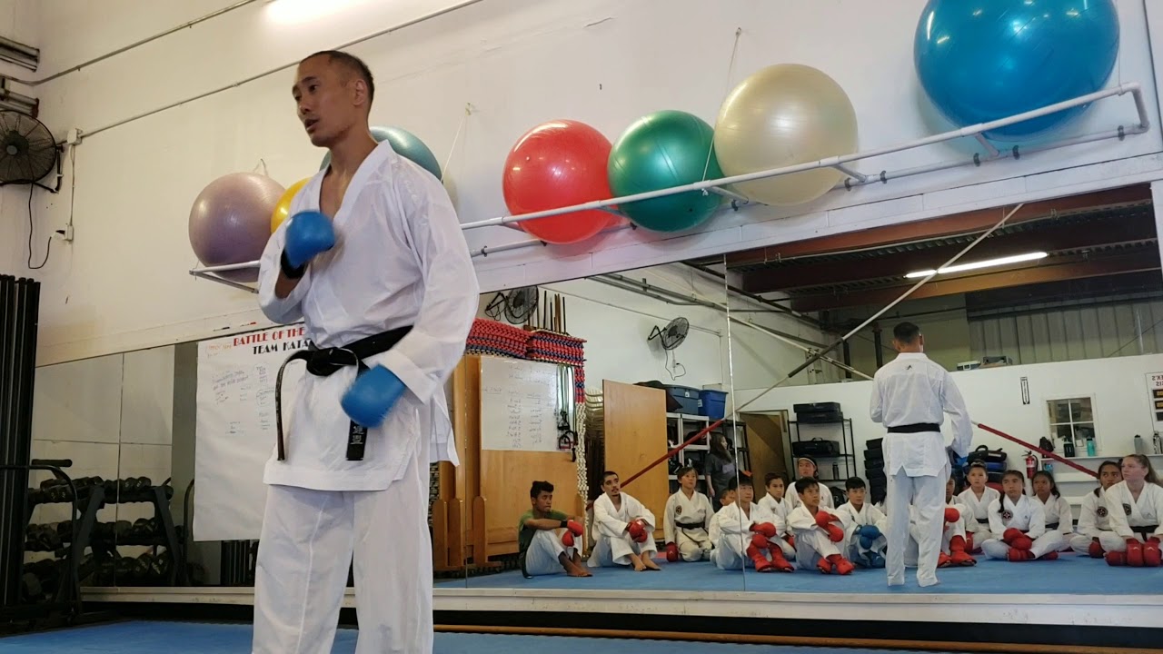 George Kotaka Kumite Seminars - YouTube