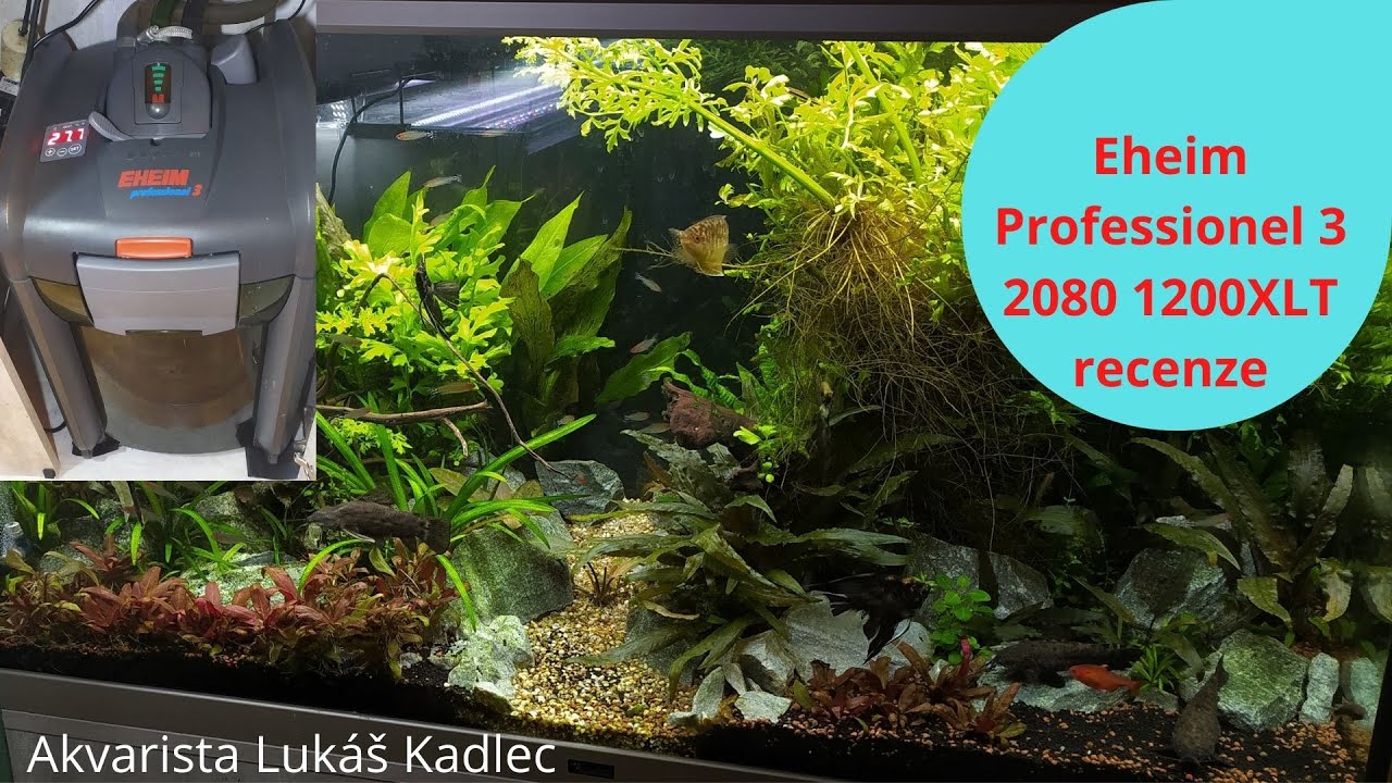 Eheim Professionel 3 2180 1200 XLT thermo u 240l nádrže - YouTube