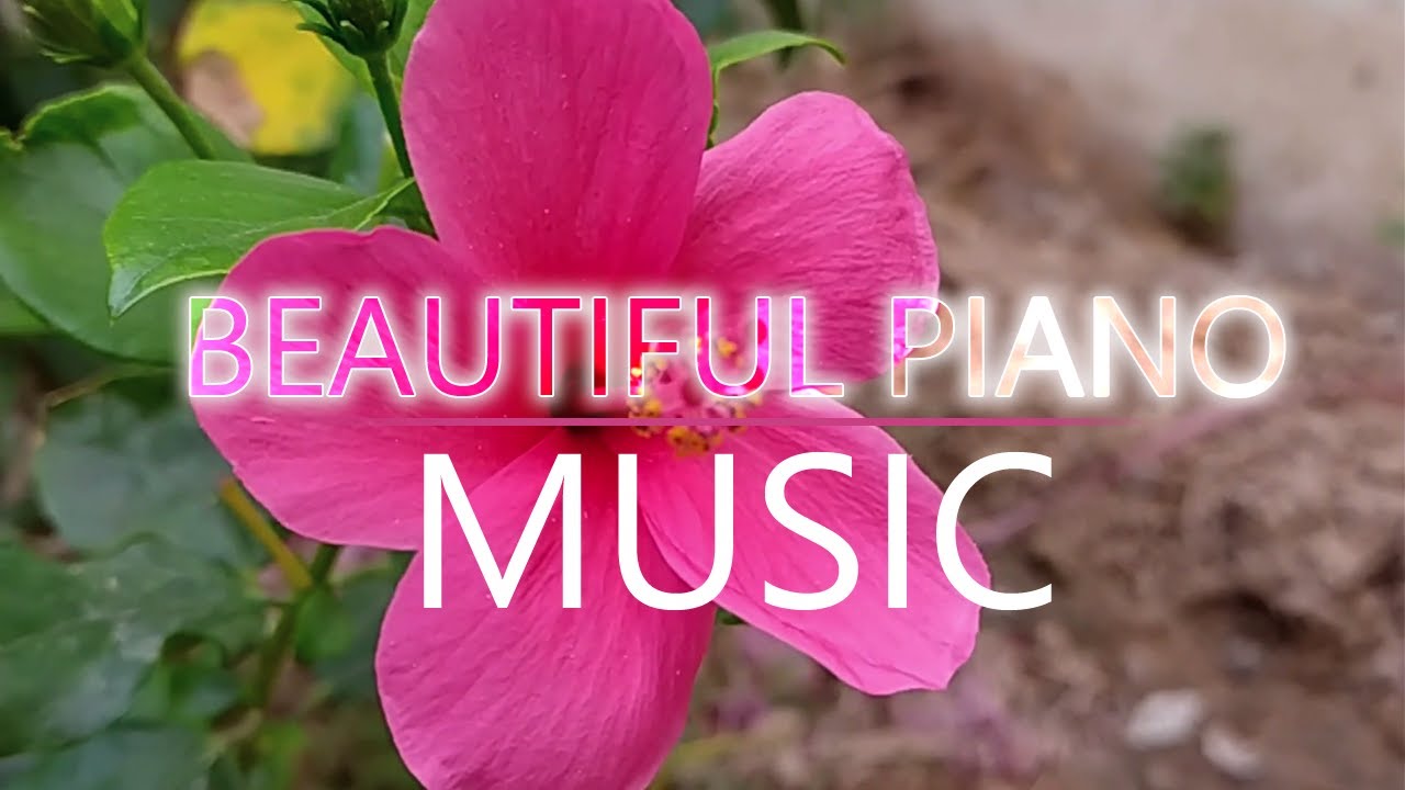 16 min | Beautiful Piano Music | Peaceful Instrumental Music - YouTube