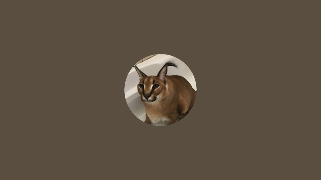Floppa cat is live! - YouTube
