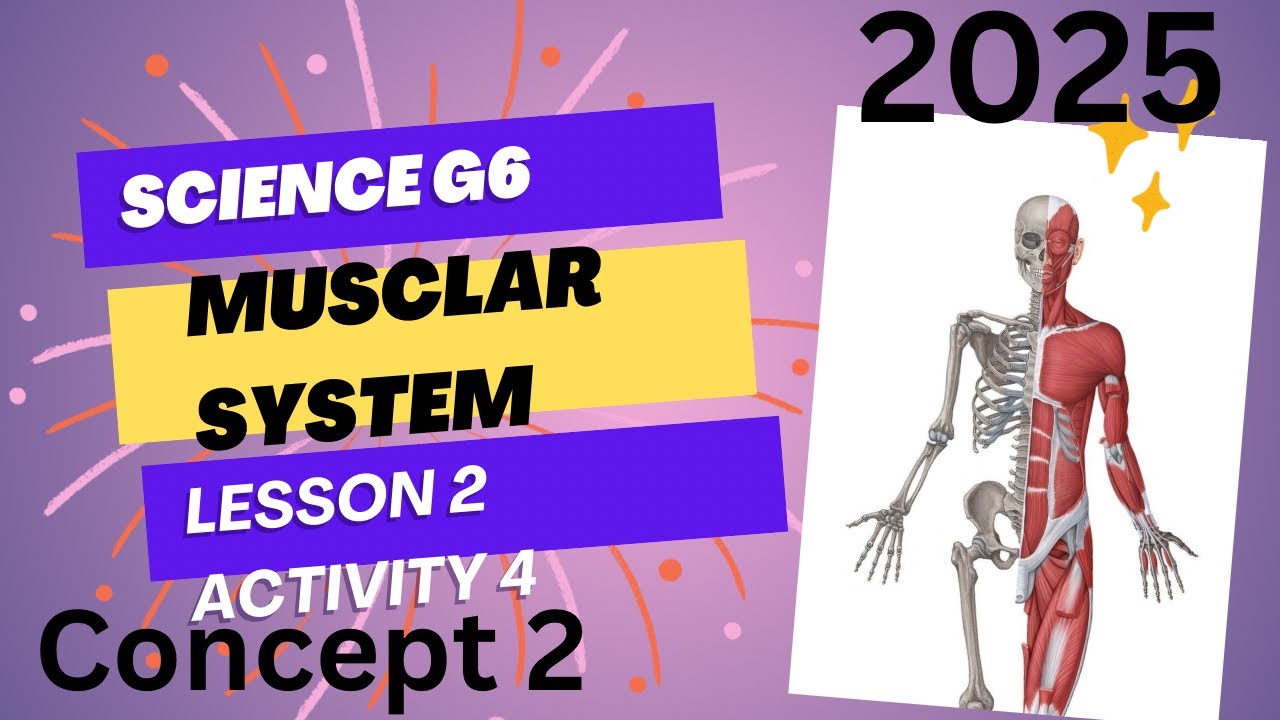 Science G6 - Concept 2 lesson 2 Muscular system 2025 - YouTube