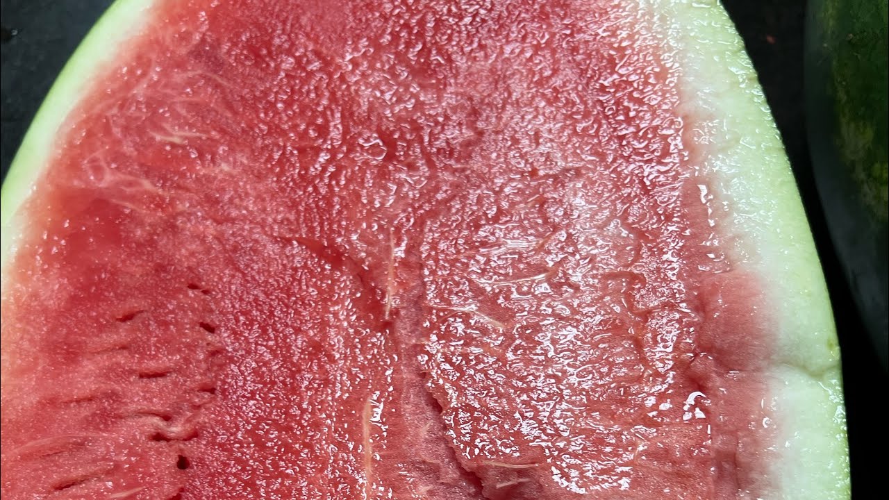 Watermelon Available Regular Basis (Sohaz Foodstuff Trading) - YouTube