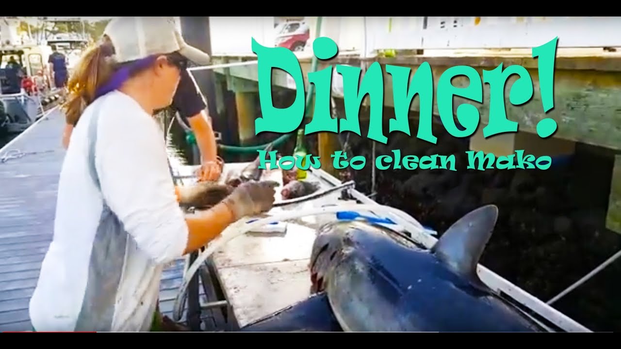 Cleaning Mako - YouTube