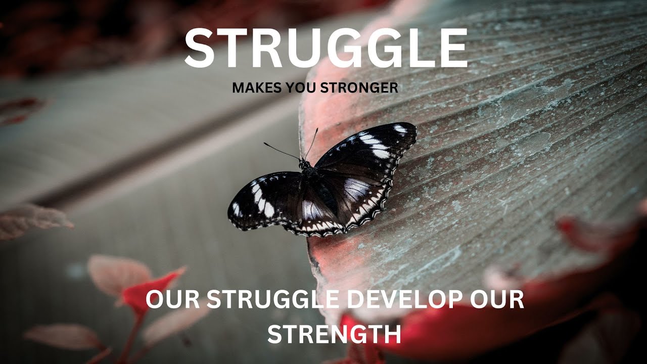 Our Struggle in life develop our strength | The butterfly | Struggle ...