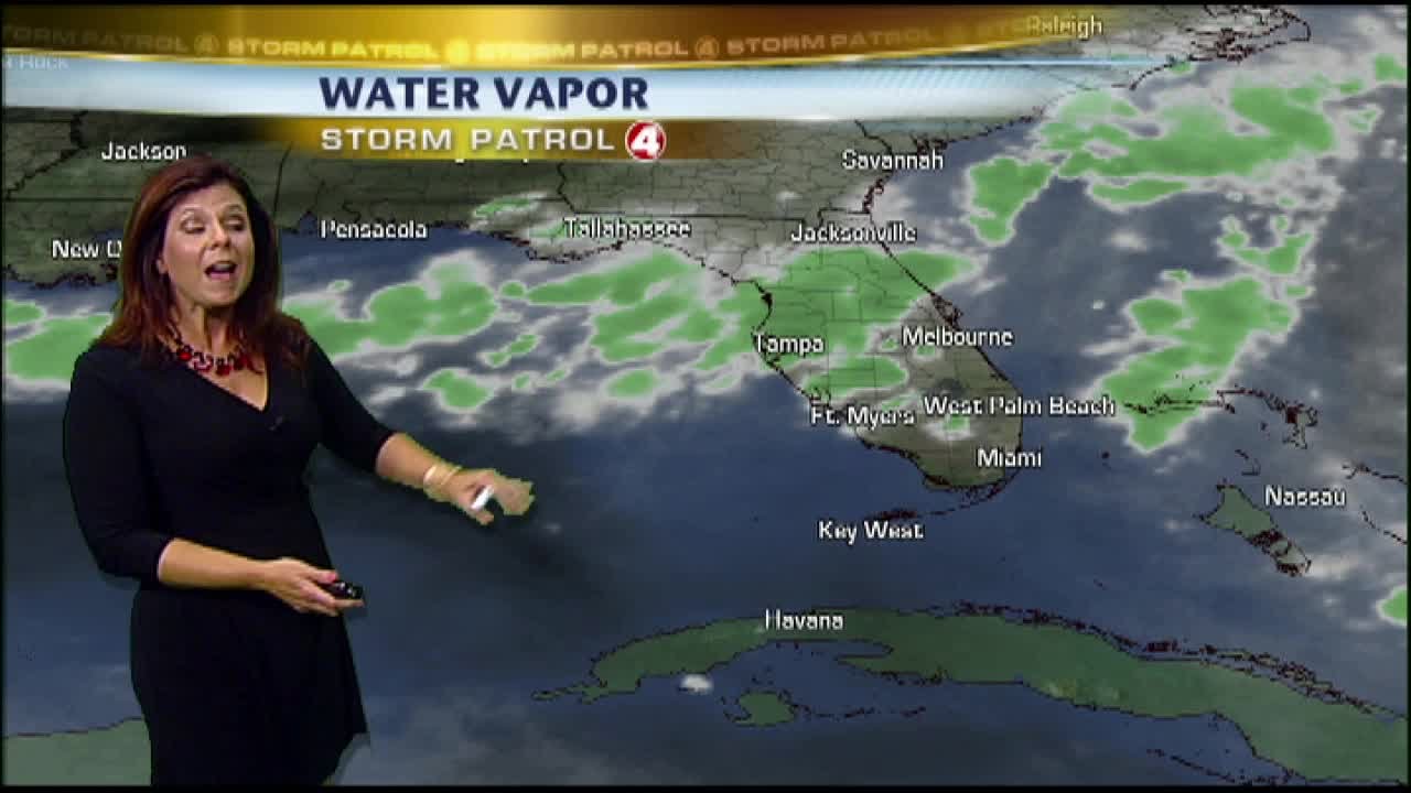 Meteorologist Michelle Cunningham's Storm Patrol Forecast - YouTube