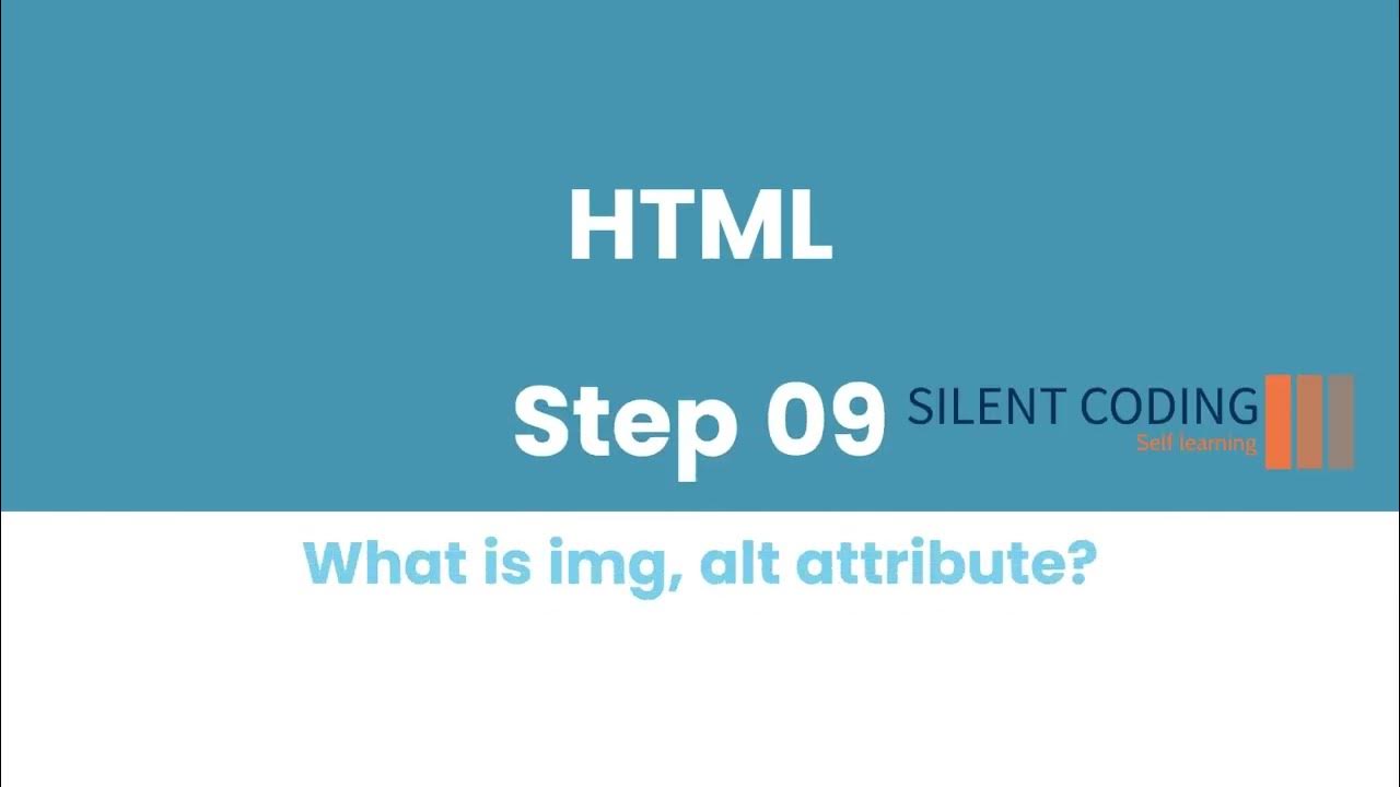 HTML Step 09 I HTML img element, alt attribute I FreeCodeCamp - YouTube