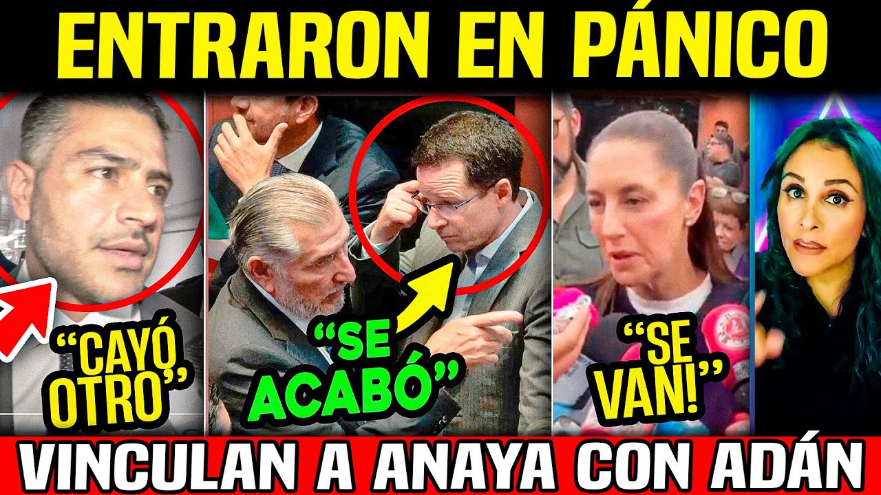 ENTRAN EN PÁNICO! VINCULAN A ANAYA CON ADÁN. SE DAN CON TODO EN VIVO ...