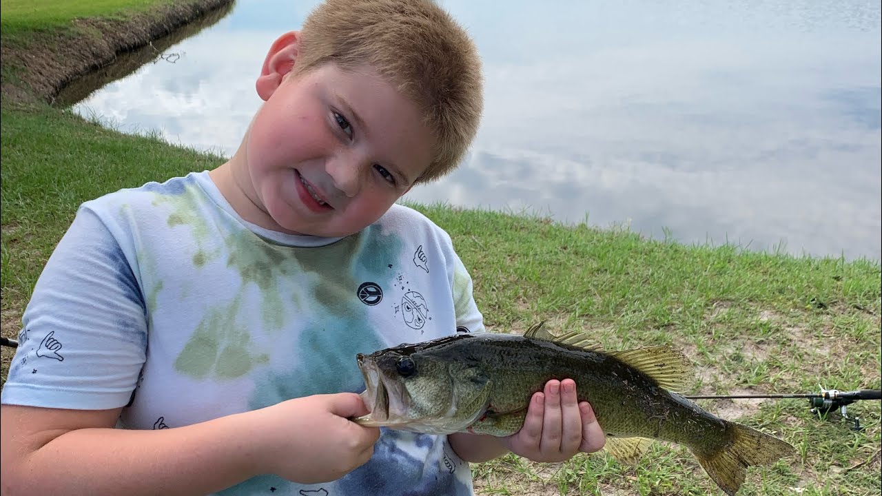 Bass fishing with live bait - YouTube