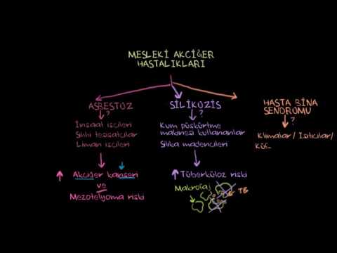 Asbestoz, Silikoz, Hasta Bina Sendromu (Solunum Sistemi Hastalıkları | Sağlık Bilgisi ve Tıp)