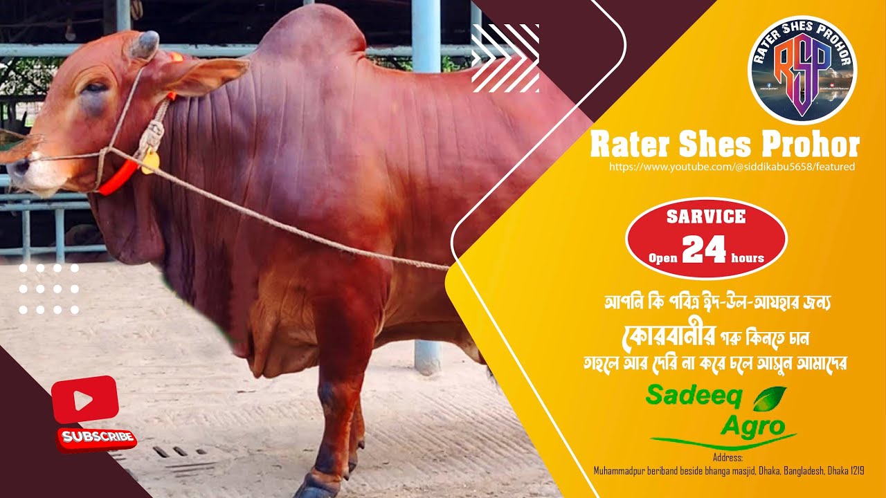 sadeeq agro - YouTube