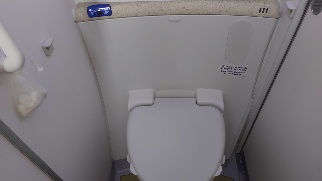 #257: (Airplane toilet ️) Vietnam Airlines Boeing 787-10 Dreamliner ...