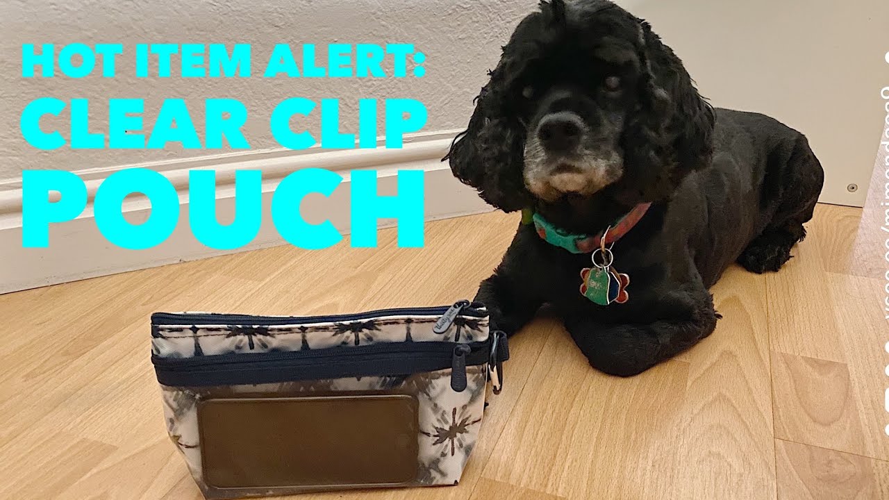 Clear Clip Pouch | Thirty-One | MJs Purses 👛 - YouTube
