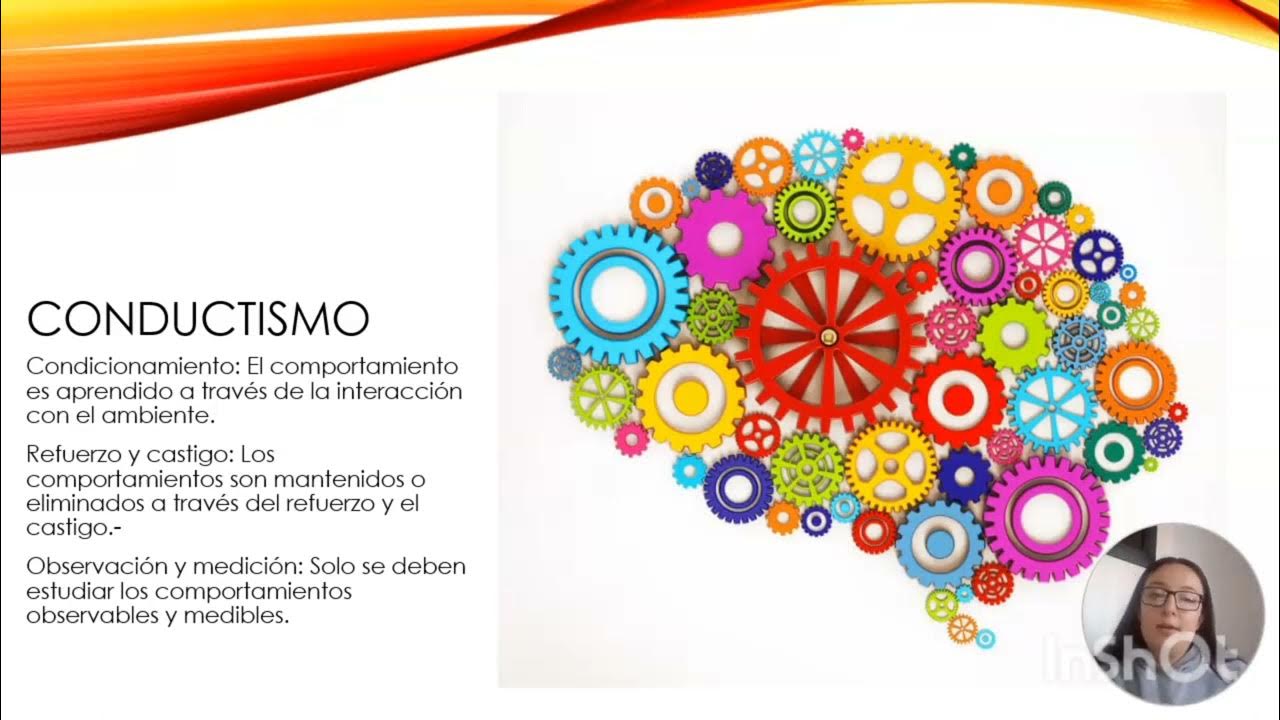 Diferencias epistemicas y principios teóricos en los enfoques clásicos de la psicología 🧠 - YouTube