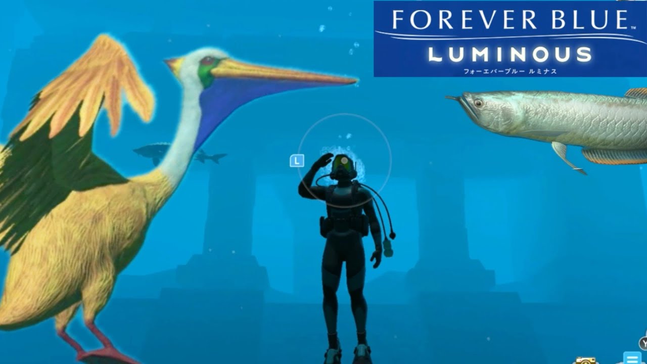 忽然と現れし黄金の神鳥と、夢の湖の神殿 | FOREVER BLUE LUMINOUS フォーエバーブルー ルミナス - YouTube