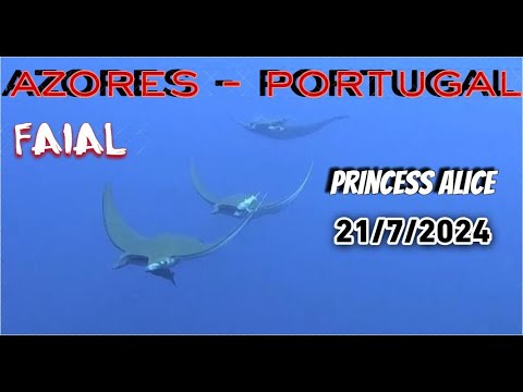 Faial (Azores - Portugal) - Princess Alice - (21-07-2024) - Norberto ...