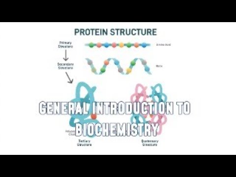 Introduction to Biochemistry | Branches of biochemistry | Medical ...