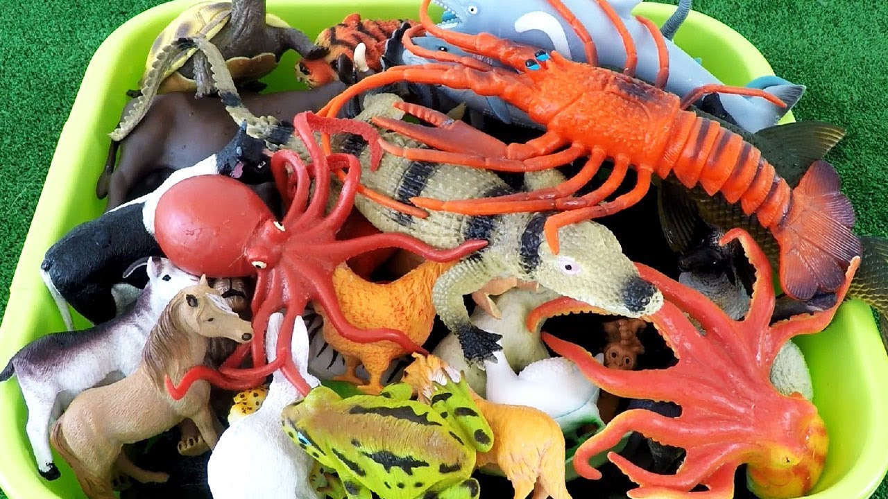 Learn Colors With Wild Animals Red Lobster Octopus Fish Toys Sharks in ...