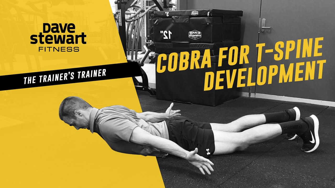 Cobra for Thoracic Spine development - YouTube