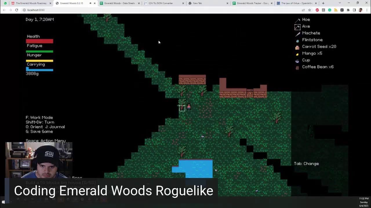 Slashie's Midnight Coding Sessions #12 - Emerald Woods #roguelike Container items - YouTube