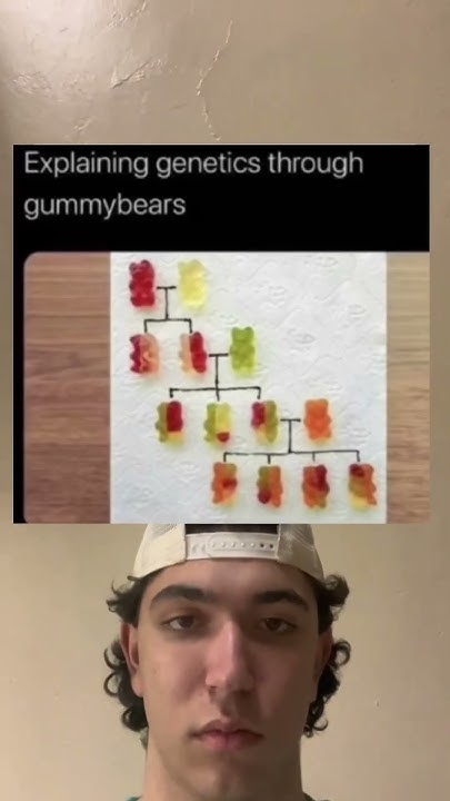 Genetics explained with gummy bears - YouTube