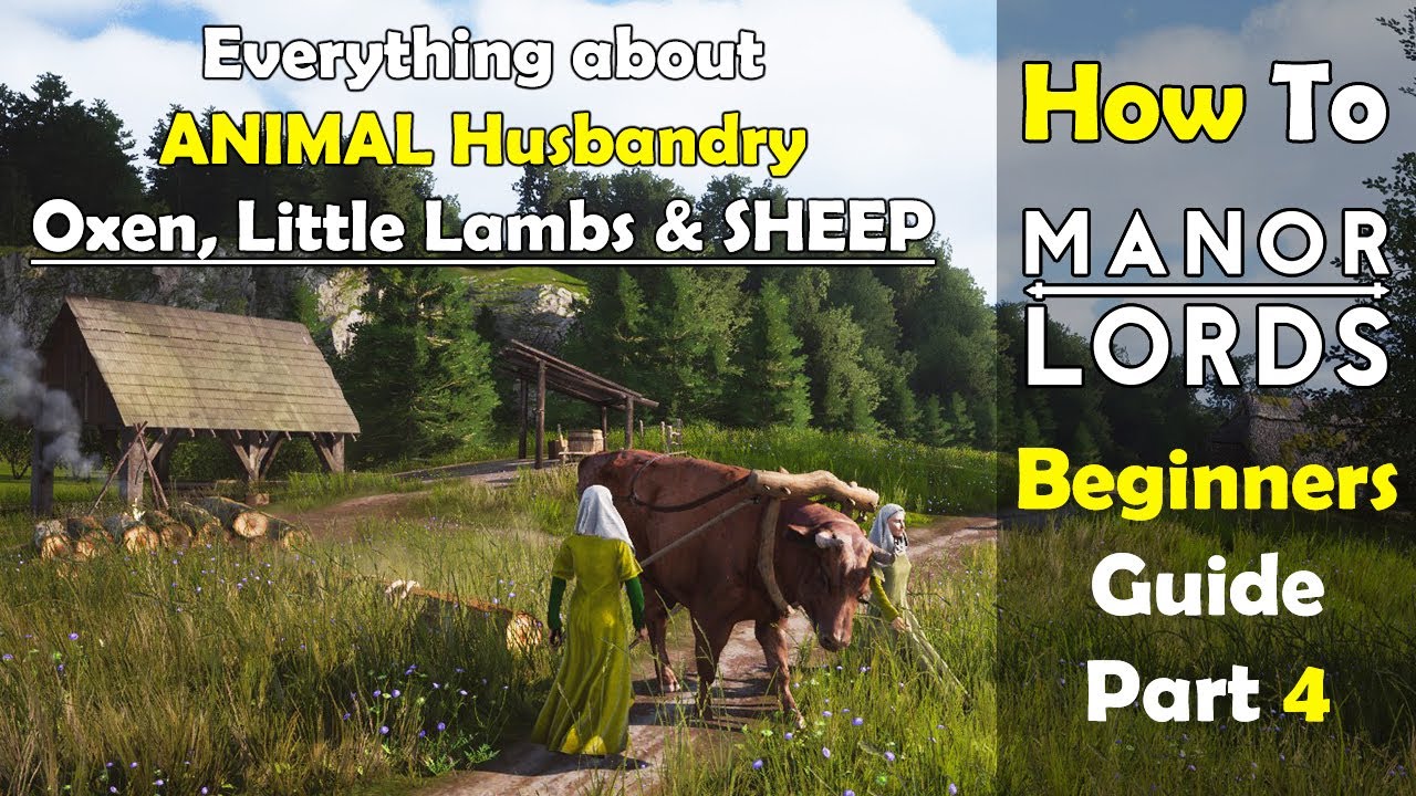 ANIMAL Husbandry Tutorial! How To Get Oxen, Lambs & Sheep! - MANOR ...