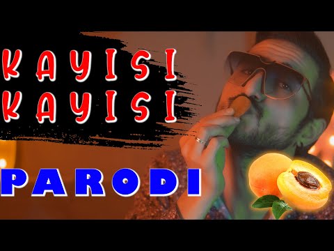 Kayısı Kayısı PARODİ - Baran Karaoğlan, Zekiyce / PARODİ KİNGS