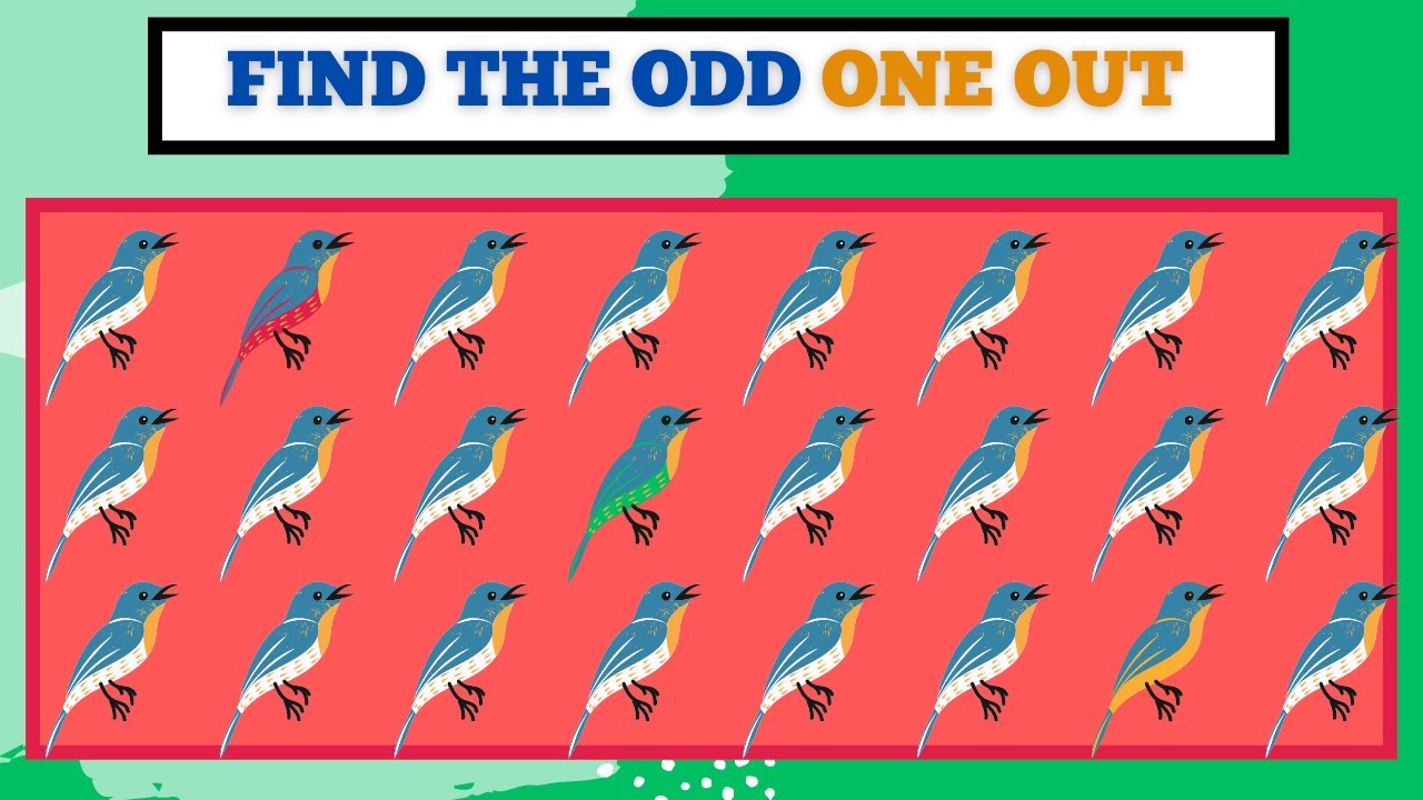 FIND THE ODD ONE OUT|BIRD EDITION|QUIZ DAY - YouTube