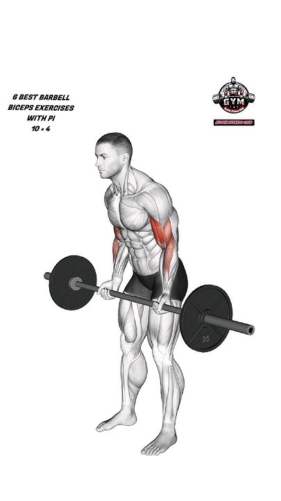 6 Best Barbell🔥 Biceps Exercises With Pi Youtube