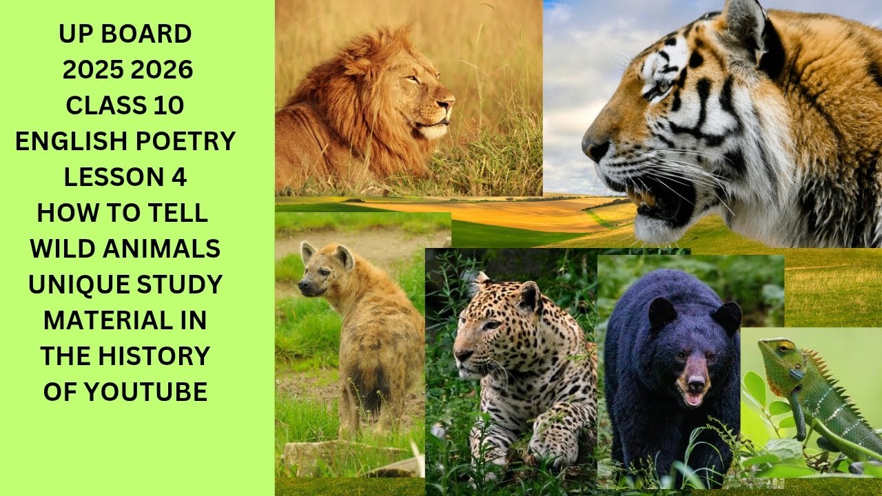 10th English Poetry Lesson 4 PART 6 How to tell wild animals - YouTube