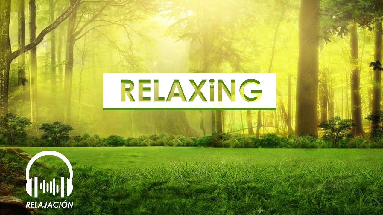 🎵 Musique relaxante 🎧 Naturelle forêt 🎧 Music douce 🎵 - YouTube
