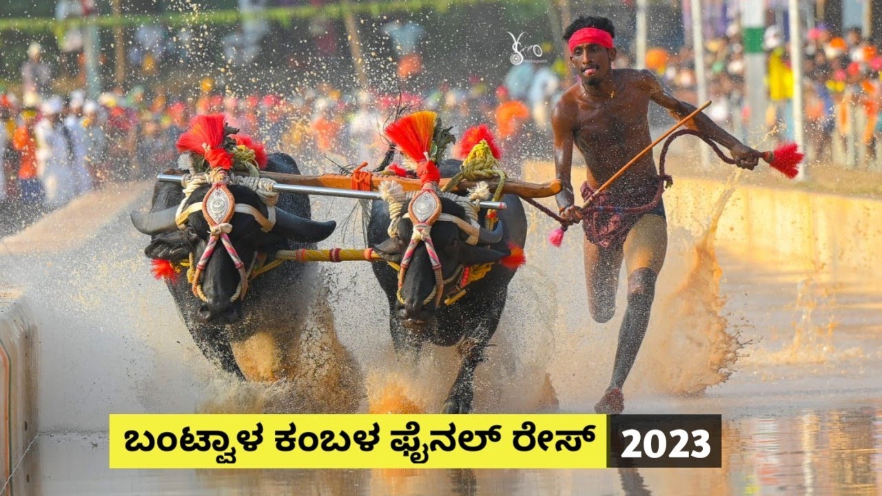 Bantwala Kambala Final Race 2023 | Namma Kambala - YouTube