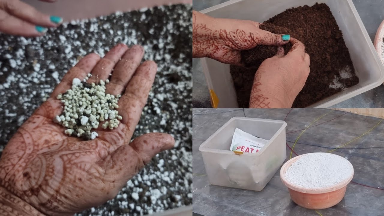 How to Make Soil less Medium for Growing Seeds || Artificial Soil Mix ...