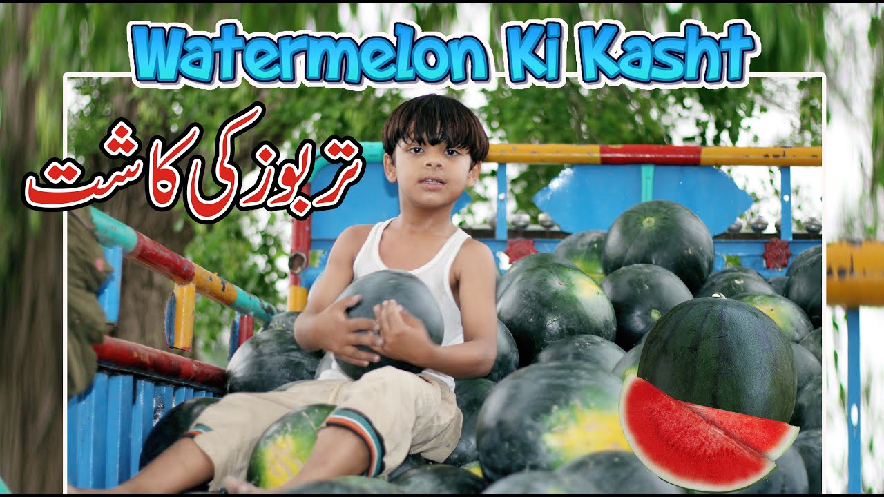 The Little Farmar | Tarbooz ke kasht | Watermelon Farming In Pakistan ...
