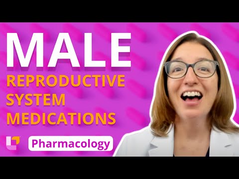 How To Prevent Diseases In The Male Reproductive System
