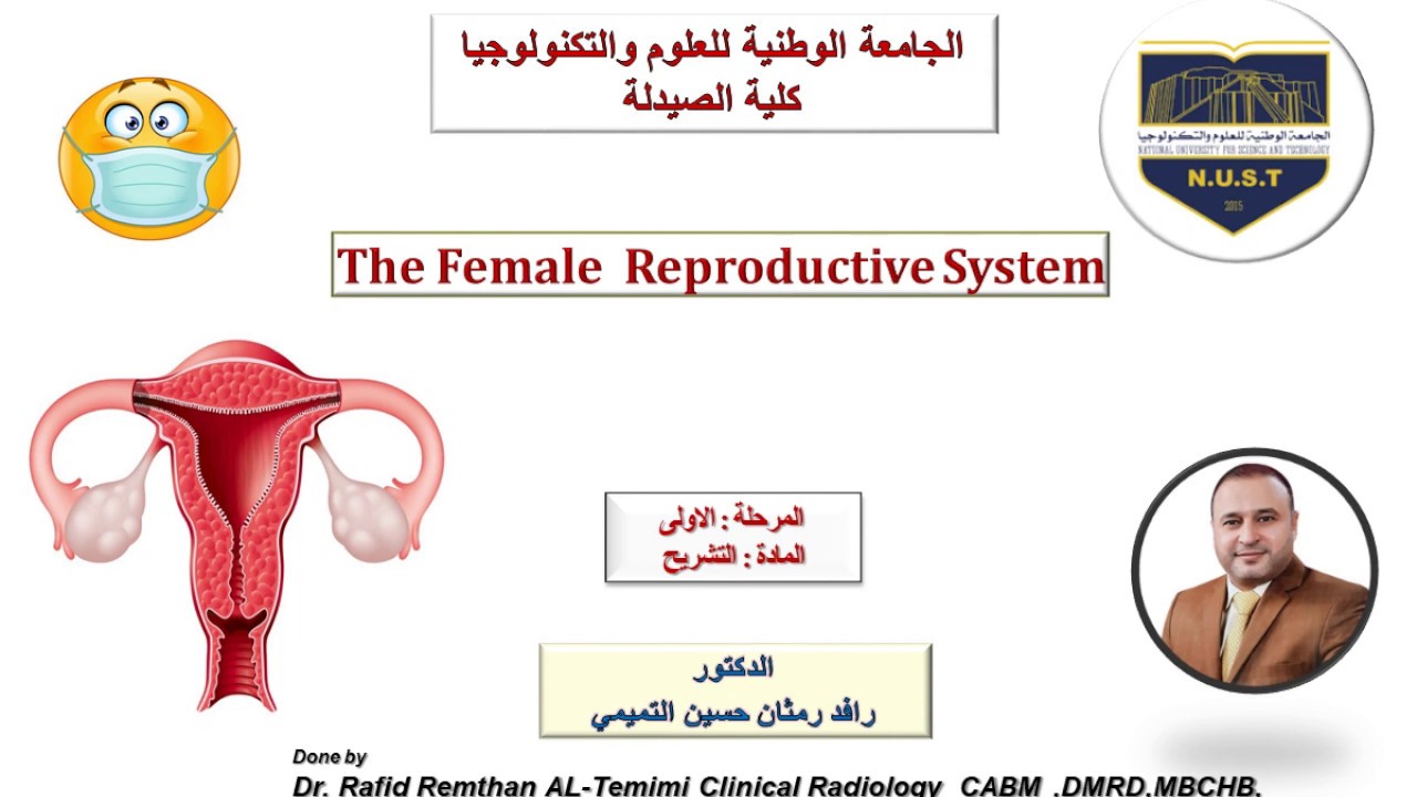 8 female reproductive system الجامعه الوطنية للعلوم والتكنولوجيا كلية ...