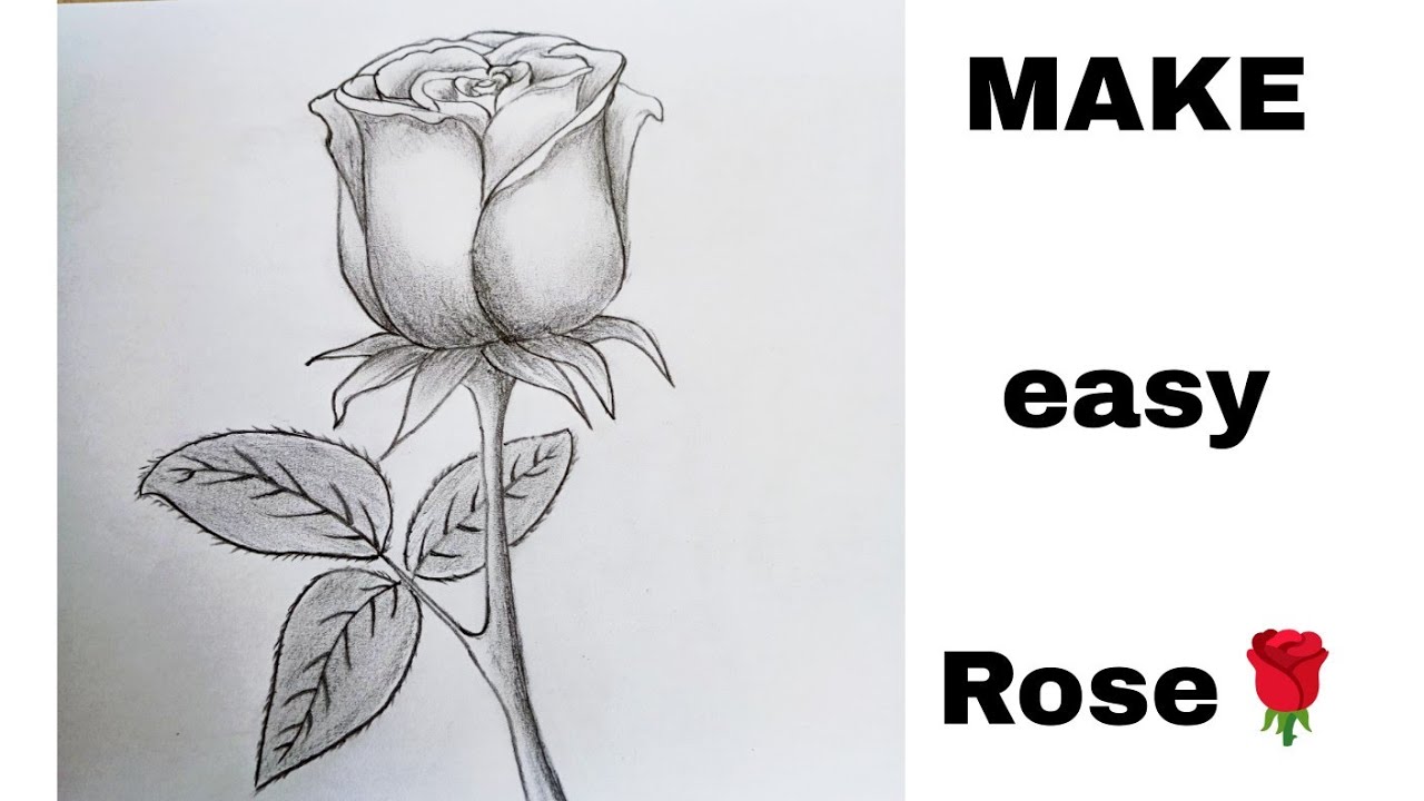 How To Draw Rose | Easy Rose Drawing - YouTube