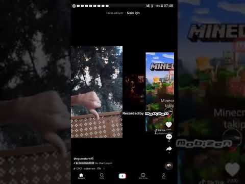 Tik tok tatlı kediler